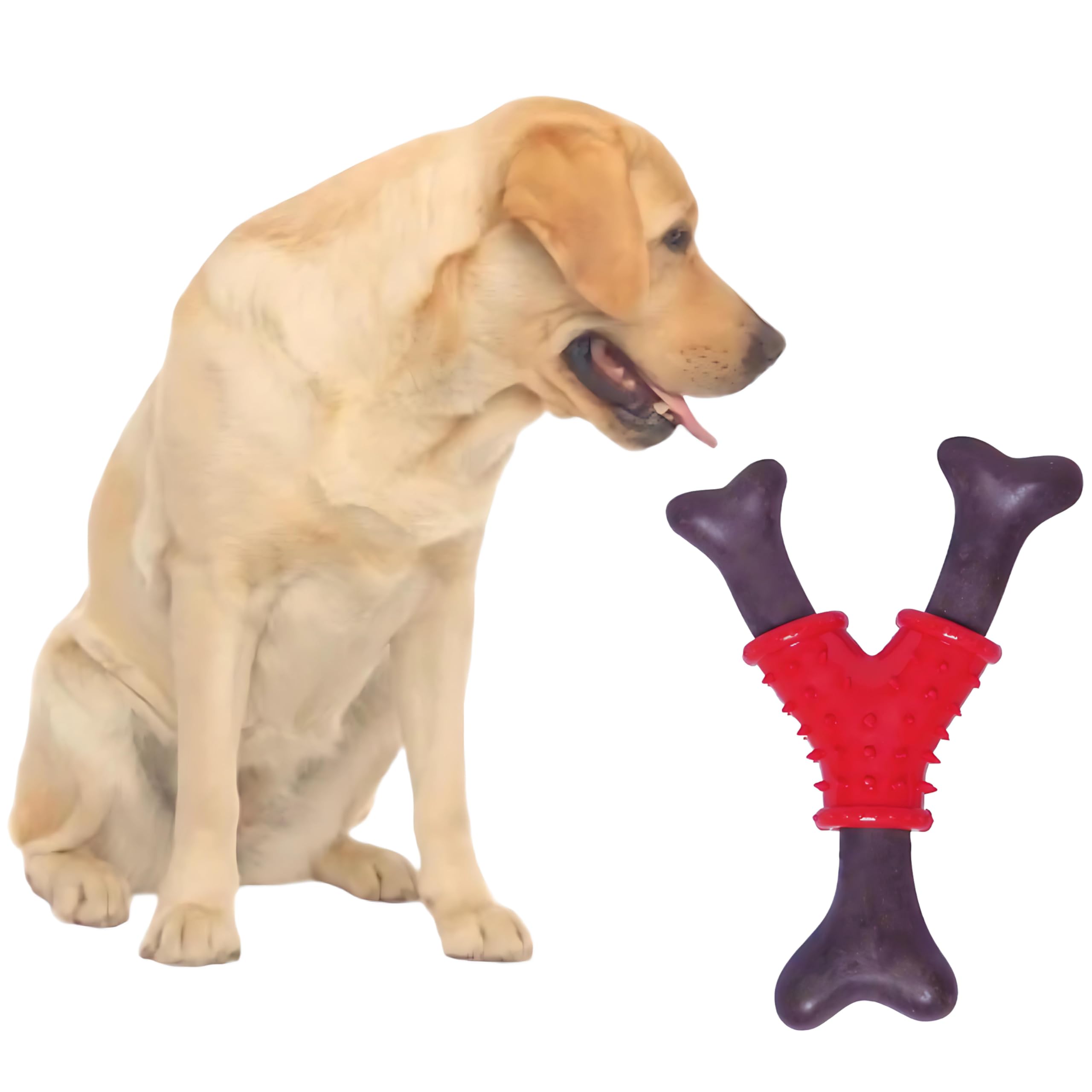 Puddles Paradise Durable Pet Toy | Y Shaped Dog Bones Toys with Spiked Red Center | Dog Chew Toys for Aggressive Chewers | Promotes Dental Health and Provides Entertainment