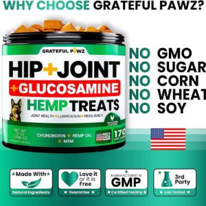 (2 Pack) Hemp Hip and Joint Supplement for Dogs - Glucosamine for Dogs - 340 Dog Joint Pain Relief Treats - Chondroitin, MSM, Hemp Oil - Advanced Dog Joint Supplement Health - Mobility Support Chews