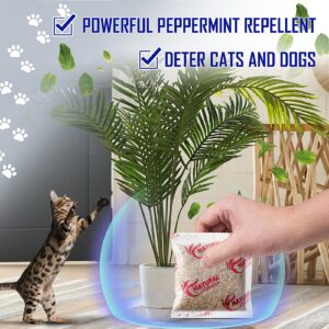 10 Pack Natural cat Detterent for Indoor Outdoor Use, Strong Peppermint and Garlic Cat Repellent Pouches, Give Indoor Plant Furniture Protection from Cats