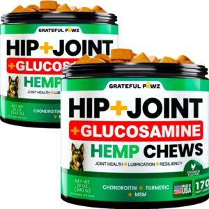 (2 pack) hemp hip and joint supplement for dogs - glucosamine for dogs - 340 dog joint pain relief treats - chondroitin, msm, hemp oil - advanced dog joint supplement health - mobility support chews