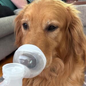 Pet Aerosol Chamber Inhaler Spacer for Cats and Small Dogs (with Indicator)