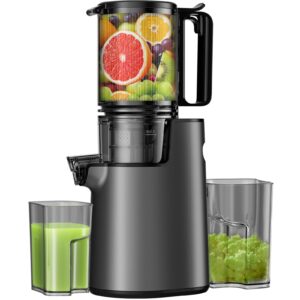 lqz cold press juicer,slow masticating juicer machines,350w juice extractor machine,5.3" large bore feed chute fit whole vegetables and fruits,easy to clean juicer（black）