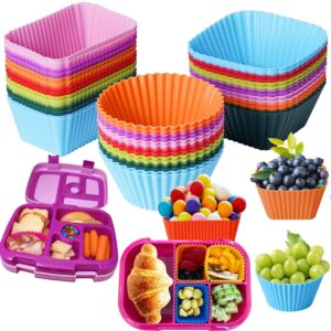 silicone lunch bento box dividers, bento bundle lunch box accessories for lunch containers