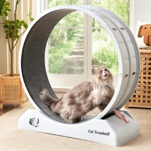 exq home cat exercise wheel, 31.5 inch cat treadmill for indoor cats, plastic cat wheel with noiseless carpeted runway, cat running wheel for cat's fitness & health (grey)