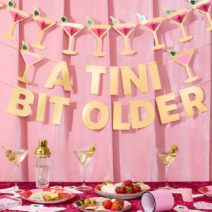 xo, Fetti A Tini Bit Older Gold Foil Banner - 5 Ft. | Martini Decoration, Birthday Party Sign, Casino Decor, Girl Cocktail Backdrop, Vegas Photo Booth Background