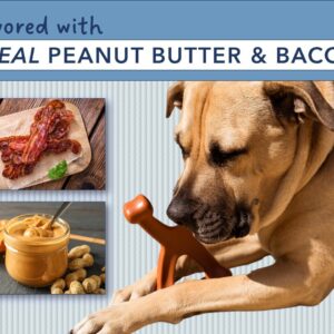 Peanut Butter & Bacon Flavored Dog Chew Toy for Aggressive Chewers - Tough Dog Bone - Heavy Duty and Durable Dog Toy - Nylon Bone Chew Toy for Medium Dogs and Large Dogs