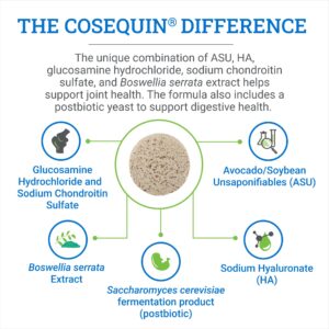 Cosequin ASU Joint & Digestive Health Functional Tablets for Horses, 240 Tablets