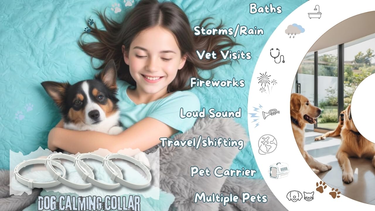 Calming Collars for Dogs, Dog Anxiety Relief, Calming for Dogs, Anxiety Collar for Dogs, Anti Anxiety for Dogs, Pheromone Collar for Dogs, DAP Collar for Dogs, Dog Stress and Anxiety Relief