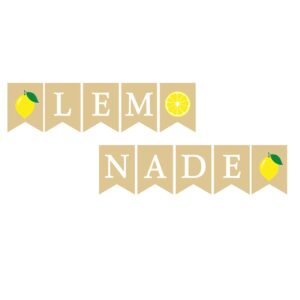 Lemonade Banner Lemonade Stand Sign Lemonade Stand Supplies for Lemonade Stand Decorations Lemon Garland Summer Birthday Lemonade Decor Lemon Party Decorations Lemon Themed Party Decor