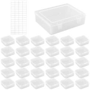 HINMAYGO Bead Organizer Box, 31pcs Small Bead Organizers, Storage Plastic Cases, Mini Plastic Containers, Clear Plastic Storage Boxes for Small Items Art Craft Jewelry Bead