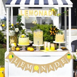 Lemonade Banner Lemonade Stand Sign Lemonade Stand Supplies for Lemonade Stand Decorations Lemon Garland Summer Birthday Lemonade Decor Lemon Party Decorations Lemon Themed Party Decor