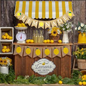 Lemonade Banner Lemonade Stand Sign Lemonade Stand Supplies for Lemonade Stand Decorations Lemon Garland Summer Birthday Lemonade Decor Lemon Party Decorations Lemon Themed Party Decor