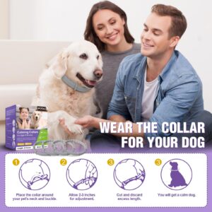 IPOTAO Relief Anxiety Stress Separation, Calming Collar for Dogs, Pheromones Calm Lasts 60 Days, Relieve Bad Behavior, Adjustable Fit All Small Medium and Large Dog Pheromone Collars, White