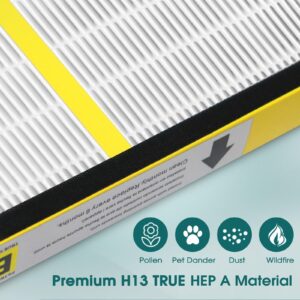 FLT4825 HEPA Filter B Replacement Compatible with G-Guardian Air Purifiers AC4825 AC4300 AC4800 AC4850 AC4900,4 H13 True HEPA Filters+10 Carbon Pre-Filters