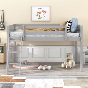 Twin Size Low Loft Bed for Kids,Solid Wood Low Loft Bed with Safety Ladder,Kids Loft Bed Frame Twin Size with Guardrail,Space Saving Loft Bed for Girls Boys (Gray)