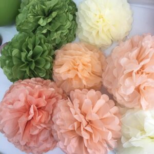 Bridal Shower Decorations Sage Green - Peach Olive Green Boho Bachelorette Party Decorations with Balloons Tissue Paper Flower Pompoms and Tassel Garland (Sage green + Peach)