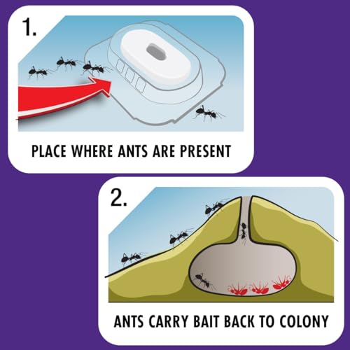 STEM Liquid Ant Baits, Kills The Queen and Colony, for Indoor Use, 12 Spill Proof Bait Stations