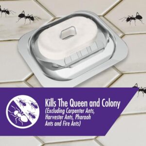 STEM Liquid Ant Baits, Kills The Queen and Colony, for Indoor Use, 12 Spill Proof Bait Stations