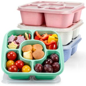 caperci original bento snack box and lunchable containers for kids & adults - 5 compartment food storage containers for snacks and meals, wheat straw, bpa-free, set of 4 (multicolor & clear lids)