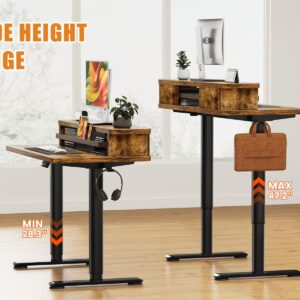 Flycity Electric Standing Desk with Dual Monitor Stand, Height Adjustable Desk Sit Stand Desk with Memory Controller, Casters & 2 Hooks, Low Noise Home Office Desk (Rustic Brown, 48" x 24")