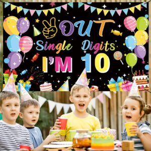 Holkcog 10th Birthday Decorations For Girls Boys,Happy 10th Birthday Backdrop Banner Double Digits Birthday Girl Decor 10 Year Old Birthday Party Background 10th Birthday Party Decorations Supply