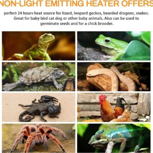 Simple Deluxe Ceramic Heat Emitter 150W Reptile Heat Lamp Bulb No Light Emitting Brooder Coop Heater for Amphibian Pet Snake Turtle & Incubating Chicken, No Harm, Color White, 1 Pack