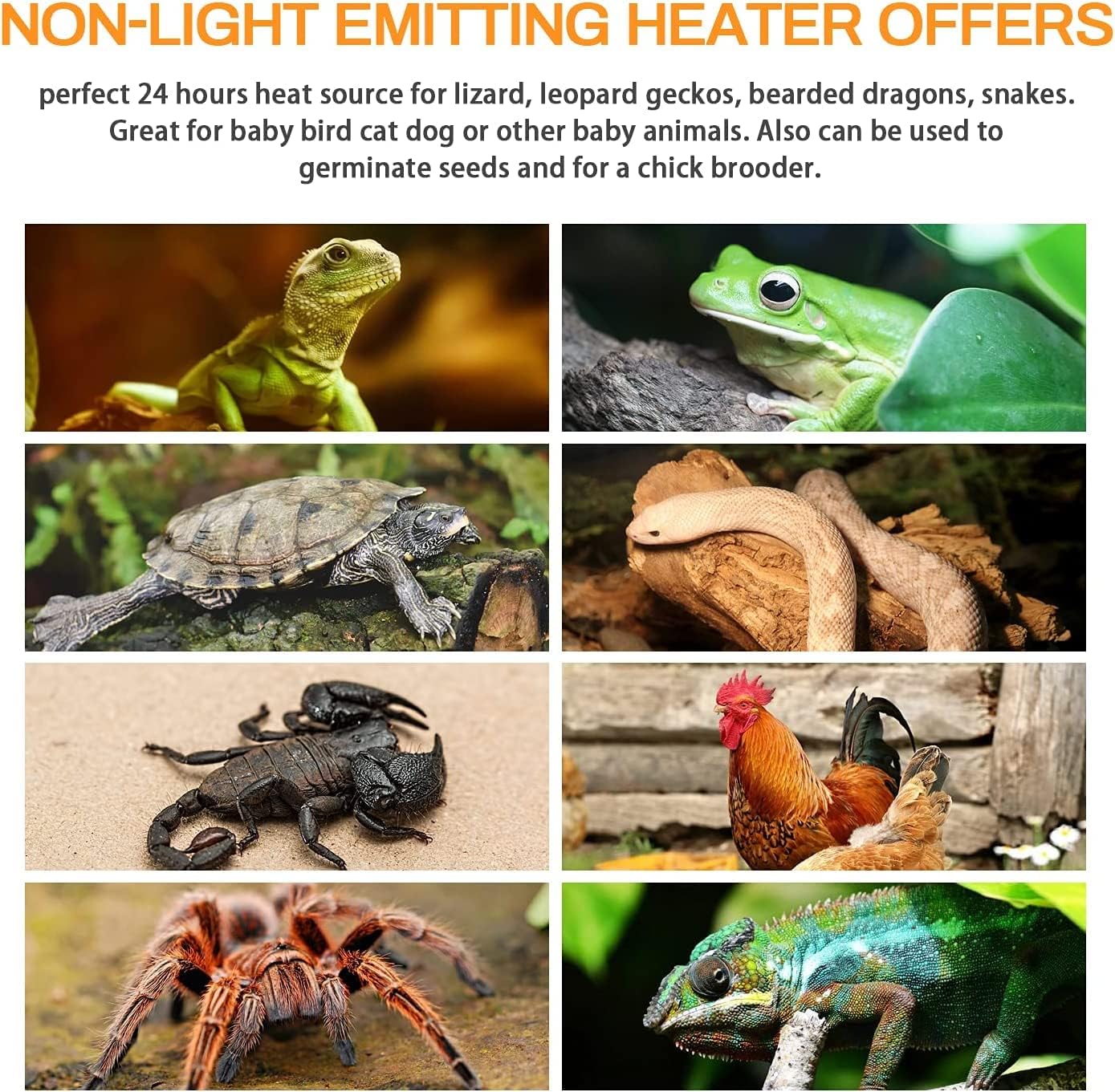 Simple Deluxe Ceramic Heat Emitter 150W Reptile Heat Lamp Bulb No Light Emitting Brooder Coop Heater for Amphibian Pet Snake Turtle & Incubating Chicken, No Harm, Color White, 1 Pack