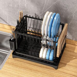 Stoigeld 2-Tier Dish Drying Rack with Utensil Holder,Stainless Steel Dish Rack with Drainboard for Kitchen Counter,Kitchen Organizers and Storage Rack (Black)