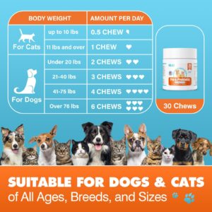 NBJU Probiotics for Dogs Cat Probiotic Chews Support Gut Health, Immunity Health, Diarrhea, Digestive Health & Seasonal Allergies - Chicken Flavor - 30 Chews Prebiotics and Probiotics