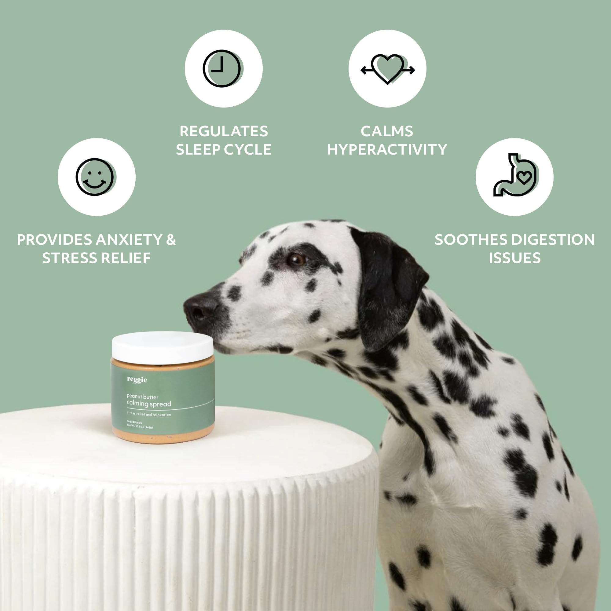 Reggie Calming Spread for Dogs | Natural Peanut Butter to Reduce Hyperactivity, Separation Anxiety, & Stress | Vet-Approved & Ideal for All Ages, Breeds, and Sizes - 30 Servings