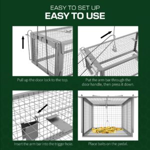 Live Animal Trap Cage 2 Pack -12.5" x 6.5" x 5.5" Humane Rat Trap, Chipmunk Trap, Squirrel Trap, Rodent Trap-Catch and Release-Heavy Duty Reusable No Kill Live Trap for Small Critters - Indoor/Outdoor