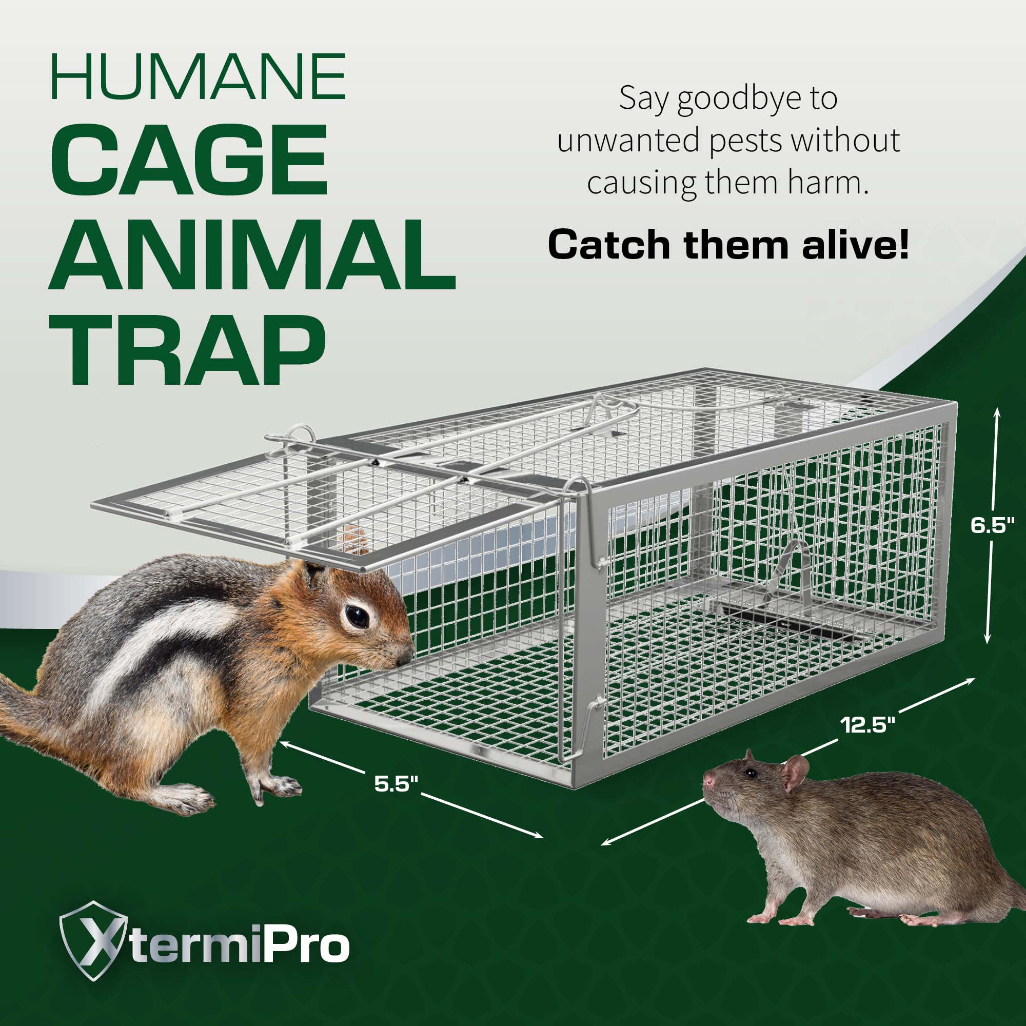 Live Animal Trap Cage 2 Pack -12.5" x 6.5" x 5.5" Humane Rat Trap, Chipmunk Trap, Squirrel Trap, Rodent Trap-Catch and Release-Heavy Duty Reusable No Kill Live Trap for Small Critters - Indoor/Outdoor