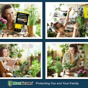 MaxGuard (30 Pack) Yellow Sticky Hanging Traps - Catch and Kill Fungus Gnats, Whiteflies, Mosquitos, Aphids, Leaf Miners, Flying Insect Catcher Glue Trappers for Indoor or Outdoor