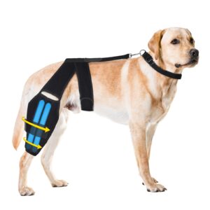 dog knee brace for torn acl hind leg, strong dog leg braces for back or front leg with 2 metal strips, adjustable anti-slip dog acl hip brace for large medium small dogs with cruciate ligament injury