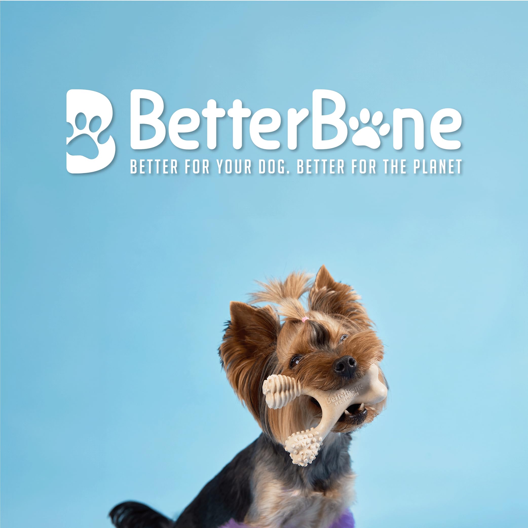 BetterBone - All-Natural, Nylon-Free Dog Chew Toys - Soft Density - Ideal for Light to Moderate Chewers - Non-Toxic, Promotes Dental Health, Splinter-Resistant, Sustainably Made