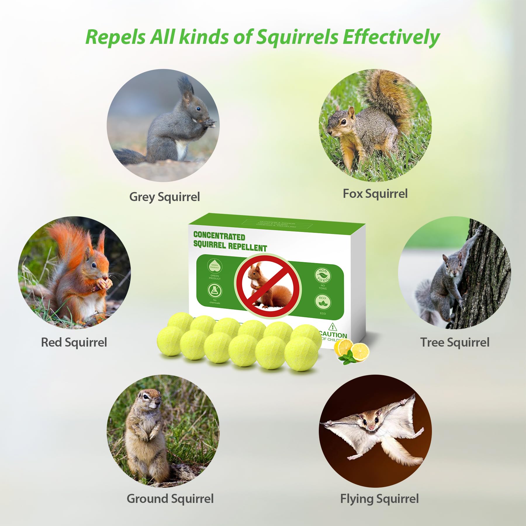 MAGIC CAT Squirrel Repellent Outdoor, 12 Pack Natural Peppermint Oil Squirrel Deterrent for Indoor Attic Pet Family Safe, Rodent Repellent to Keep Squirrel Chipmunk Away from Bird Feeder Garden Yard