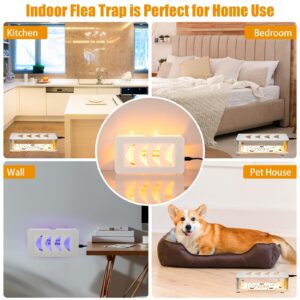 Flea Traps for Inside Your Home, Flea Trap with Adjustable Light Modes & 4 Flying Insect Trap Sticky Refill Pads, Pest Trapper for Fleas, Flies, Mosquitoes (2, White)