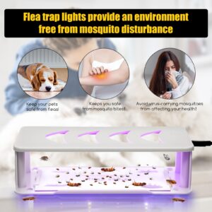 Flea Traps for Inside Your Home, Flea Trap with Adjustable Light Modes & 4 Flying Insect Trap Sticky Refill Pads, Pest Trapper for Fleas, Flies, Mosquitoes (2, White)