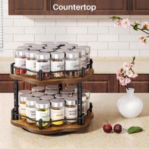 Lazy Susan Spice Rack Organization for Cabinet - Adjustable Height Lazy Turntable Spice Organizer for Countertop Kitchen Pantry Storage, 2 Tier 10 Inch Seasoning Organizer, Black