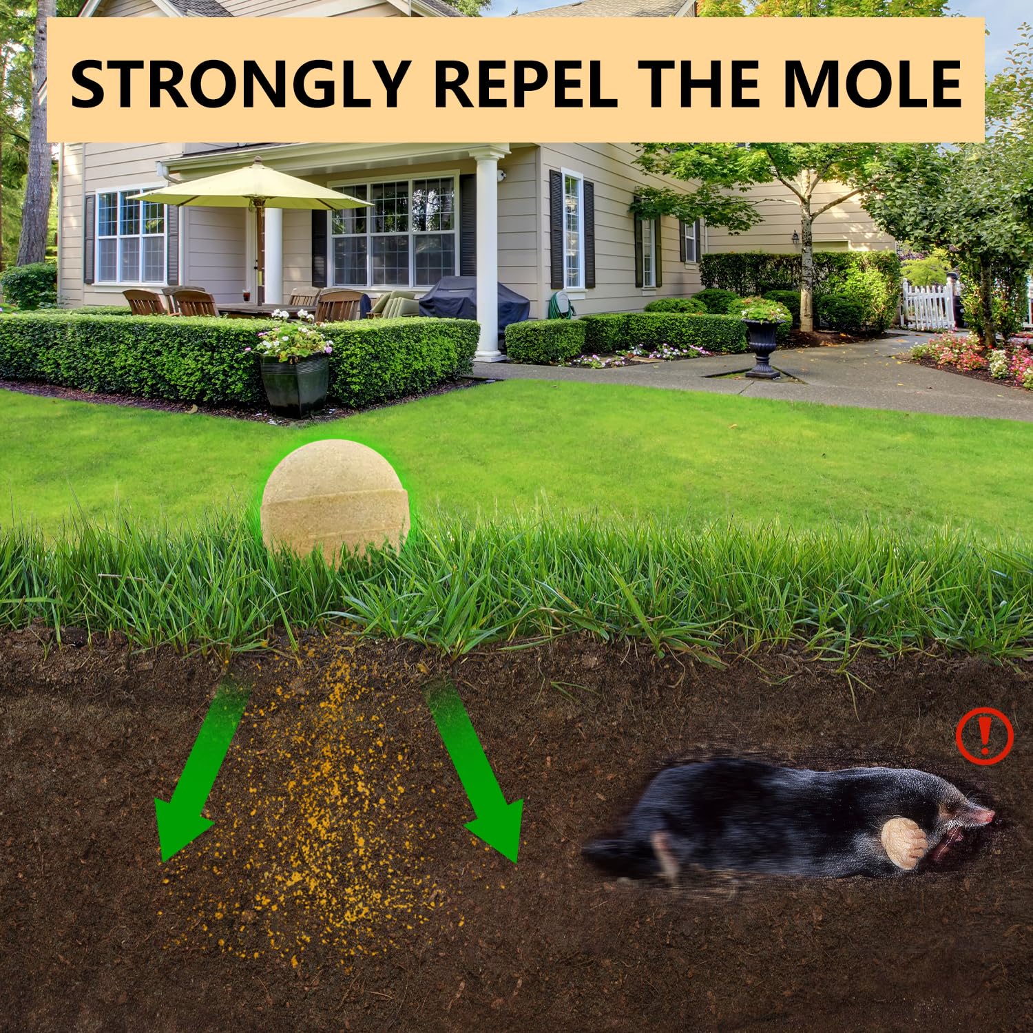 Mole Repellent,Gopher Repellent,Vole Repellent,Mole Repellent for lawns,Mole Trap, Mole Control, Keeps Moles and Voles Out of Gardens,(8balls)