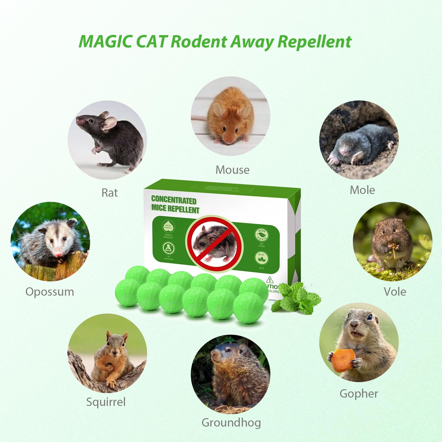 MAGIC CAT Rodent Repellent Peppermint Oil to Repel Mice & Rats, 12 Pack Natural Rat Deterrent for Indoor Home Pet Family Safe, Mouse Stopper for Car Engine RV Truck Garage Closet Boat Rodent Control