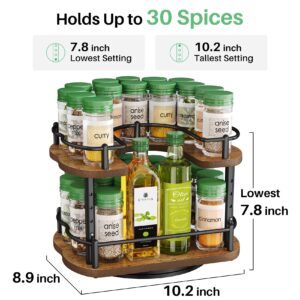 Lazy Susan Organizer Spice Rack for Cabinet - Height Adjustable Rotating Lazy Turntable Spice Organization for Table Top Pantry Kitchen, Wood Lazy Susan 10 inches Black