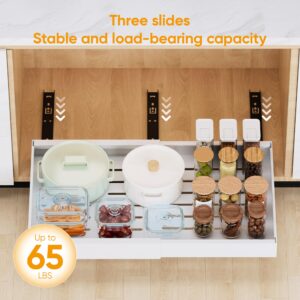 2 Pack Expandable Pull Out Cabinet Organizer Adhesive, Peel And Stick Slide Out Drawers for Kitchen Cabinets,Cabinet Pull Out Shelves For Kitchen Pantry Organization Adjustable Width 12.6"-21"