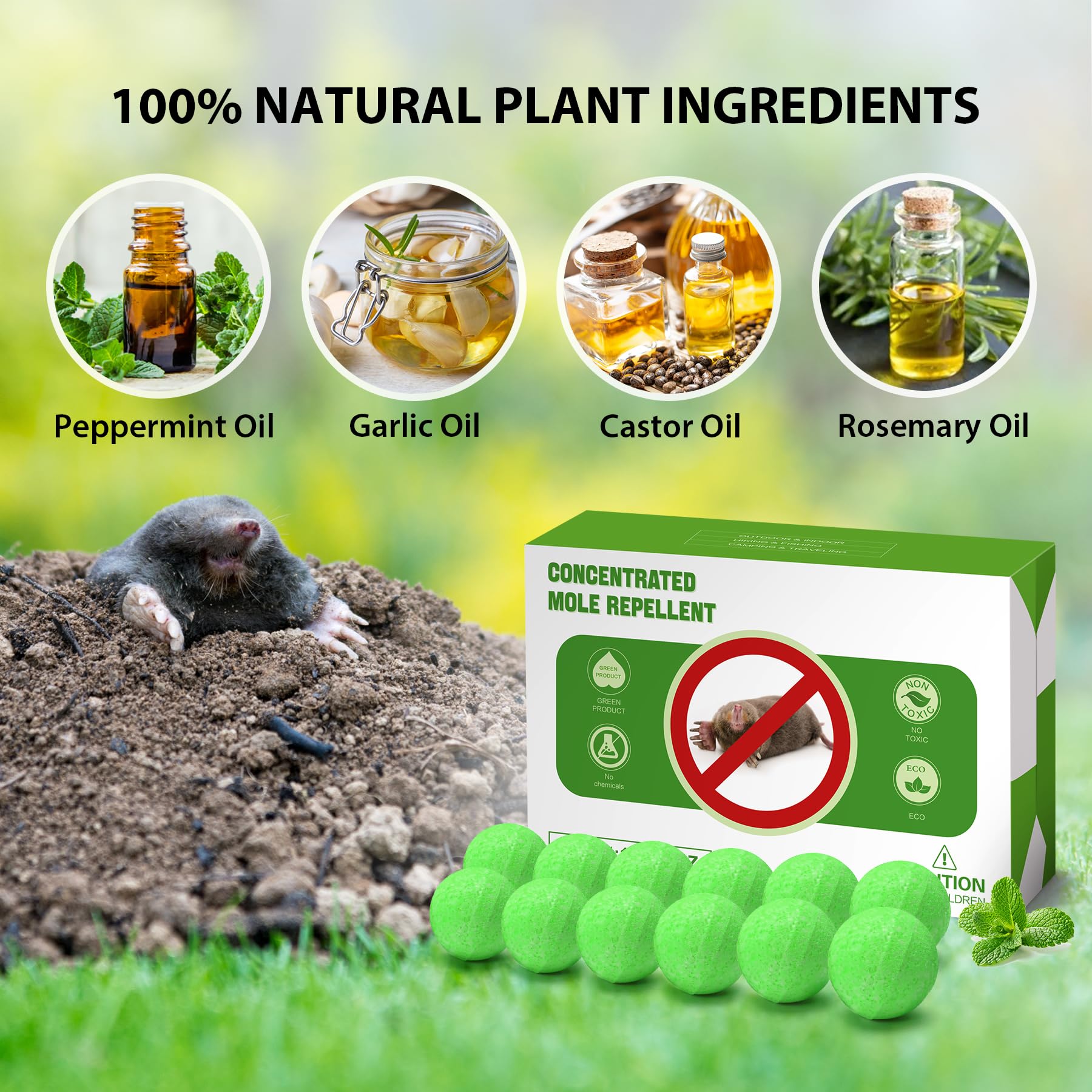 MAGIC CAT Mole Repellent for Lawns, 12 Pack Natural Castor Oil Vole Repellent Outdoor Pet Plant Safe, Gopher Repellent Mole Deterrent to Keep Mole Vole Groundhog Out of Your Lawn Yard Garden