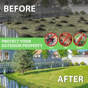 MAGIC CAT Mole Repellent for Lawns, 12 Pack Natural Castor Oil Vole Repellent Outdoor Pet Plant Safe, Gopher Repellent Mole Deterrent to Keep Mole Vole Groundhog Out of Your Lawn Yard Garden