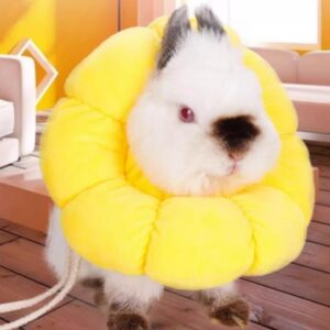 Rabbit Protection Cone Extra Small Soft Elizabethan Collar for Bunny Chinchilla Guinea Pig Small Cat Recovery Collar Kitten E Collar Alternative After Surgery Wound Healing Donut Collar (Yellow, XS)