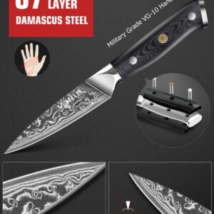 MOSFiATA Kitchen Knife ，Damascus paring Knife 3.5 inch Fruit Knife