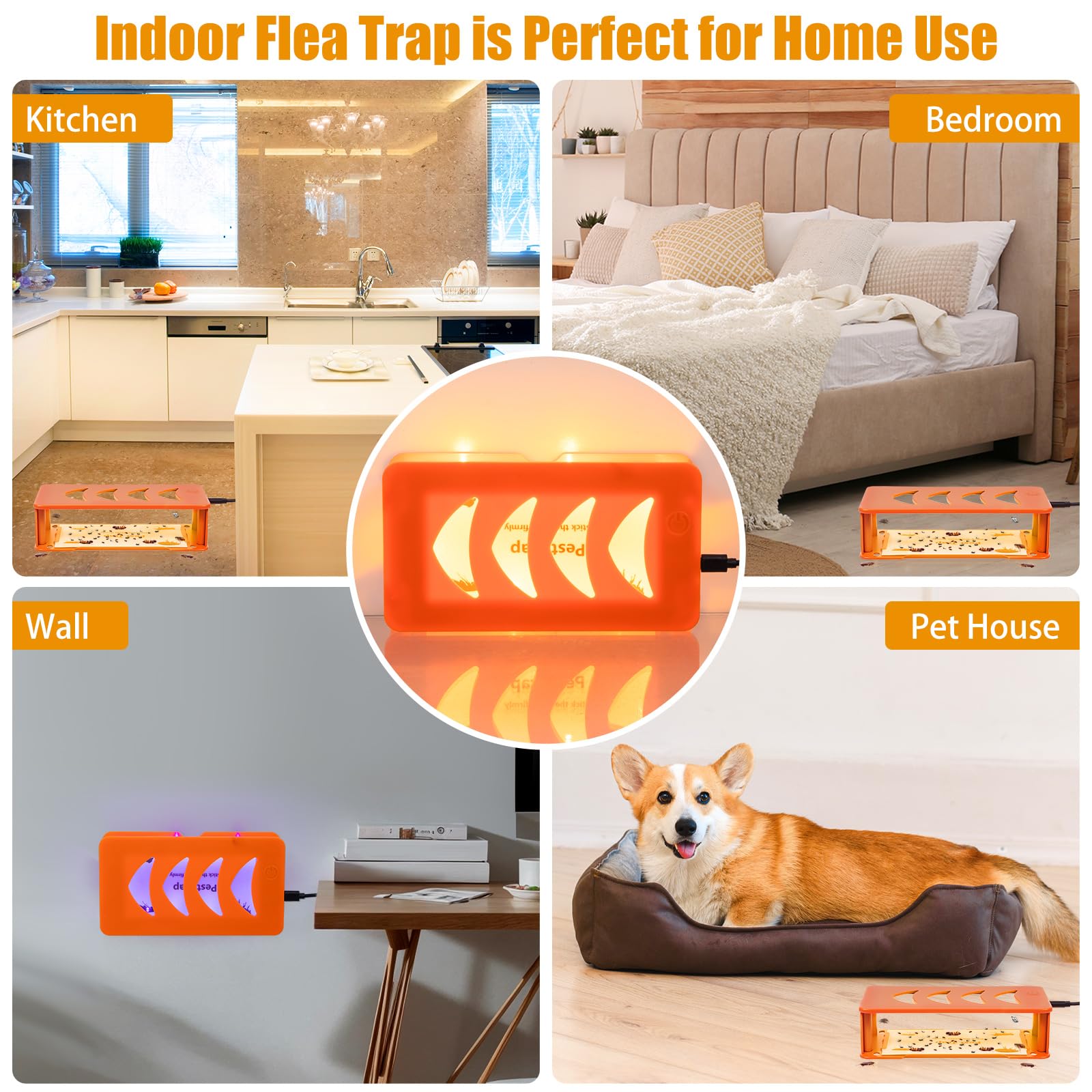 Flea Traps for Inside Your Home, 2 Pack Flea Trap with Adjustable Light Modes & 4 Flying Insect Trap Sticky Refill Pads, Harmless & Friendly to Pets & Kids Pest Trapper for Fleas, Flies