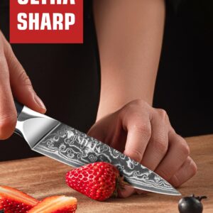 MOSFiATA Kitchen Knife ，Damascus paring Knife 3.5 inch Fruit Knife