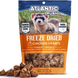 freeze dried small pet treats - 1oz resealable bag of treats for ferrets - ferret snacks - single ingredient ferret food with no preservatives or fillers- small animals treats (1 oz, chicken heart)